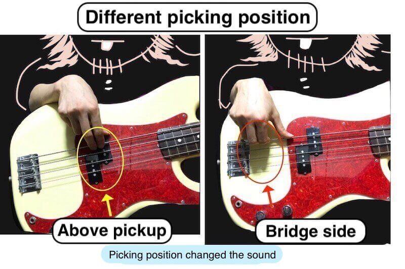 Explaining Precision Bass〜Difference between JB & PB〜 | Bass The World ...
